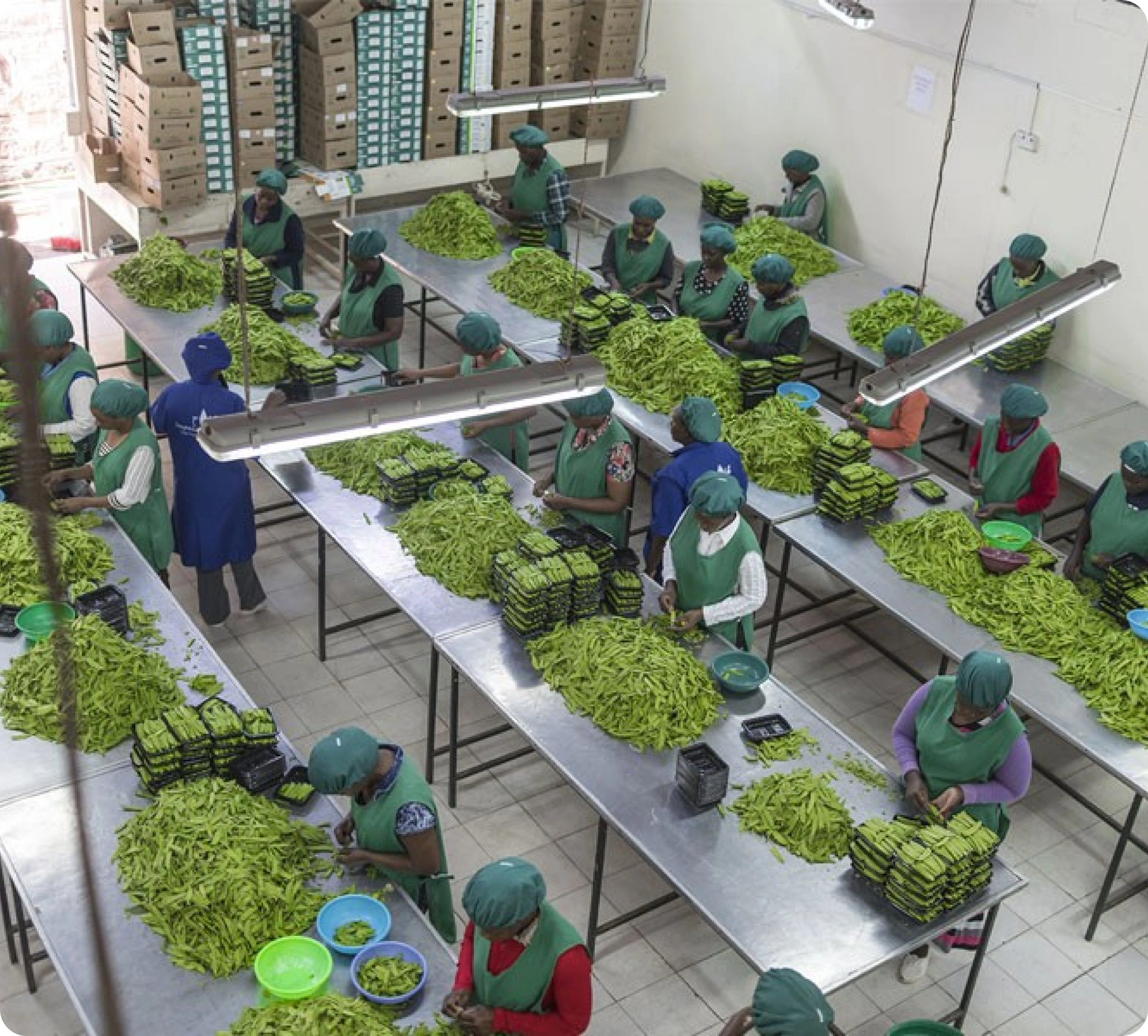 Welcome [afa.ecitizen.go.ke]